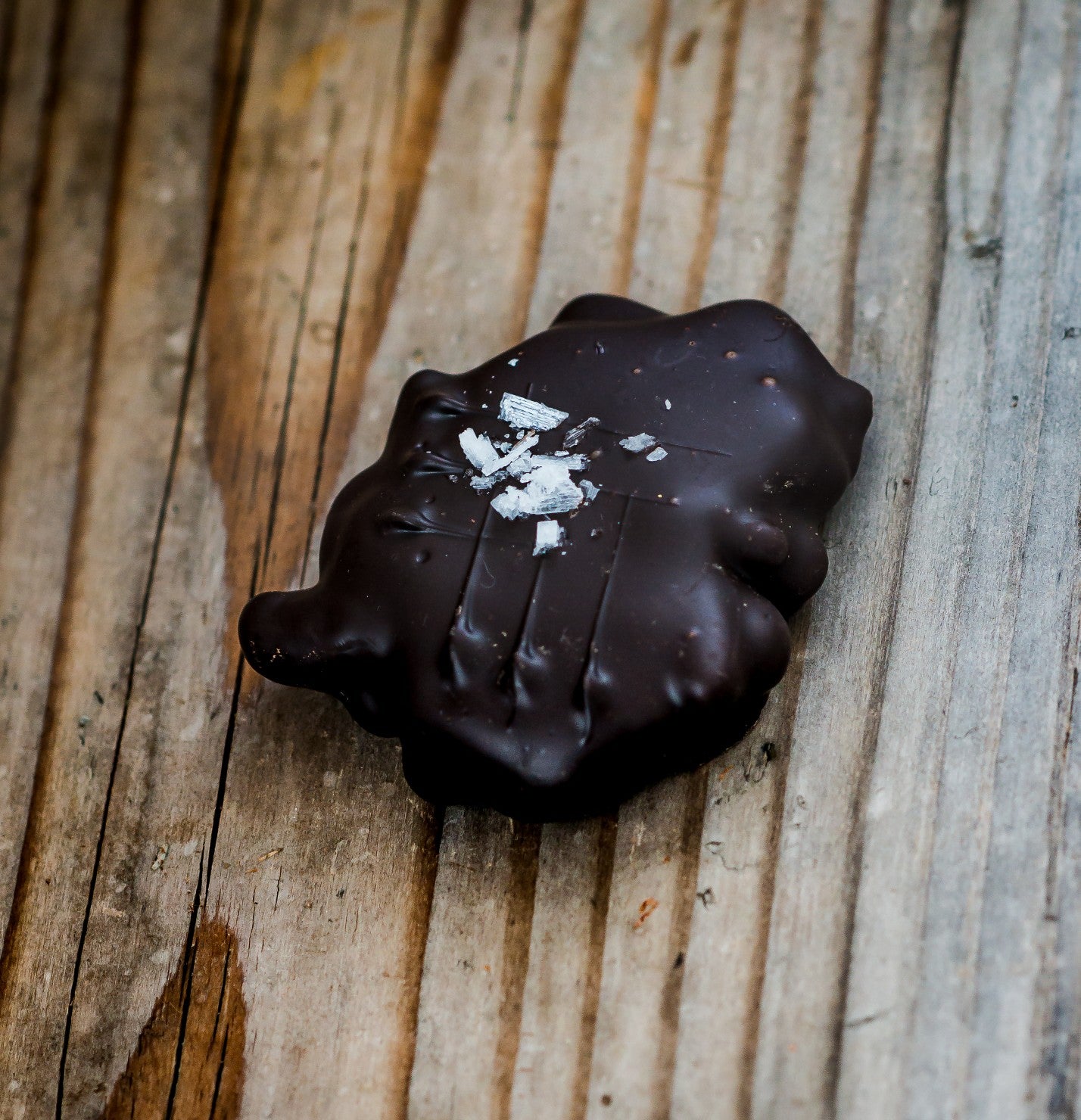 Caramel Pecan Turtle – Arrowhead Chocolates